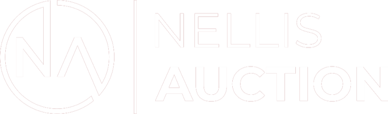 Nellis Outlet · Bin Store · Meadows Mall, Las Vegas